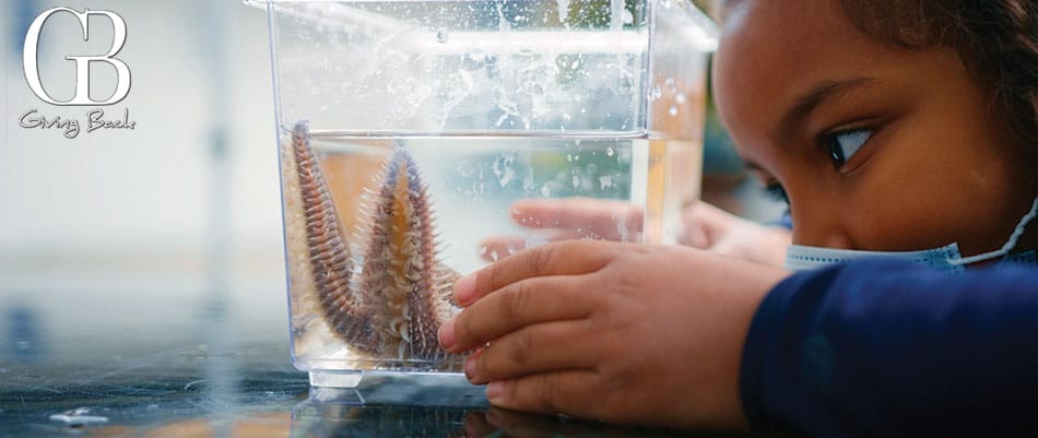 Southwest Airlines Partners with Ocean Discovery to Empower Future ...